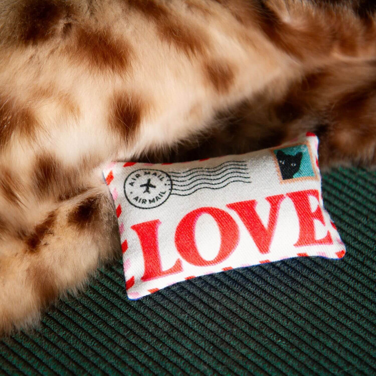 Love Letter Catnip Toy – Cute Catnip Toy for Playful Cats – Supakit
