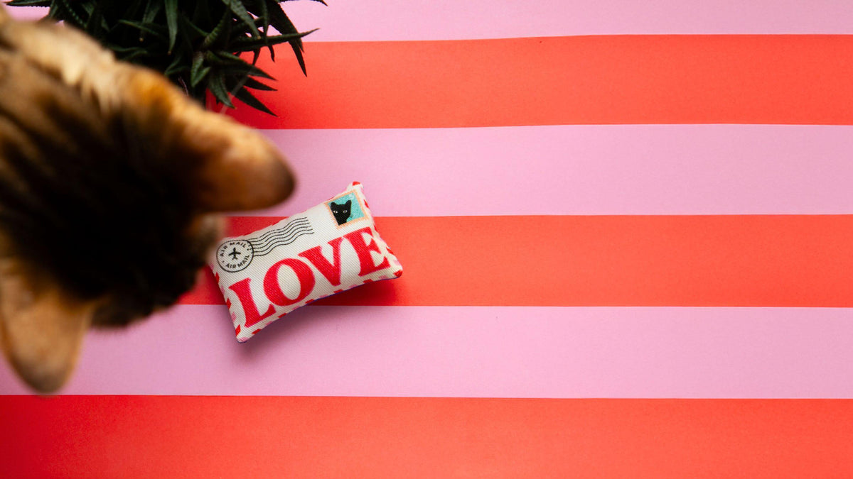 Supakit® - Designer Cat Collars & Cat Harnesses, Specially For Cats.