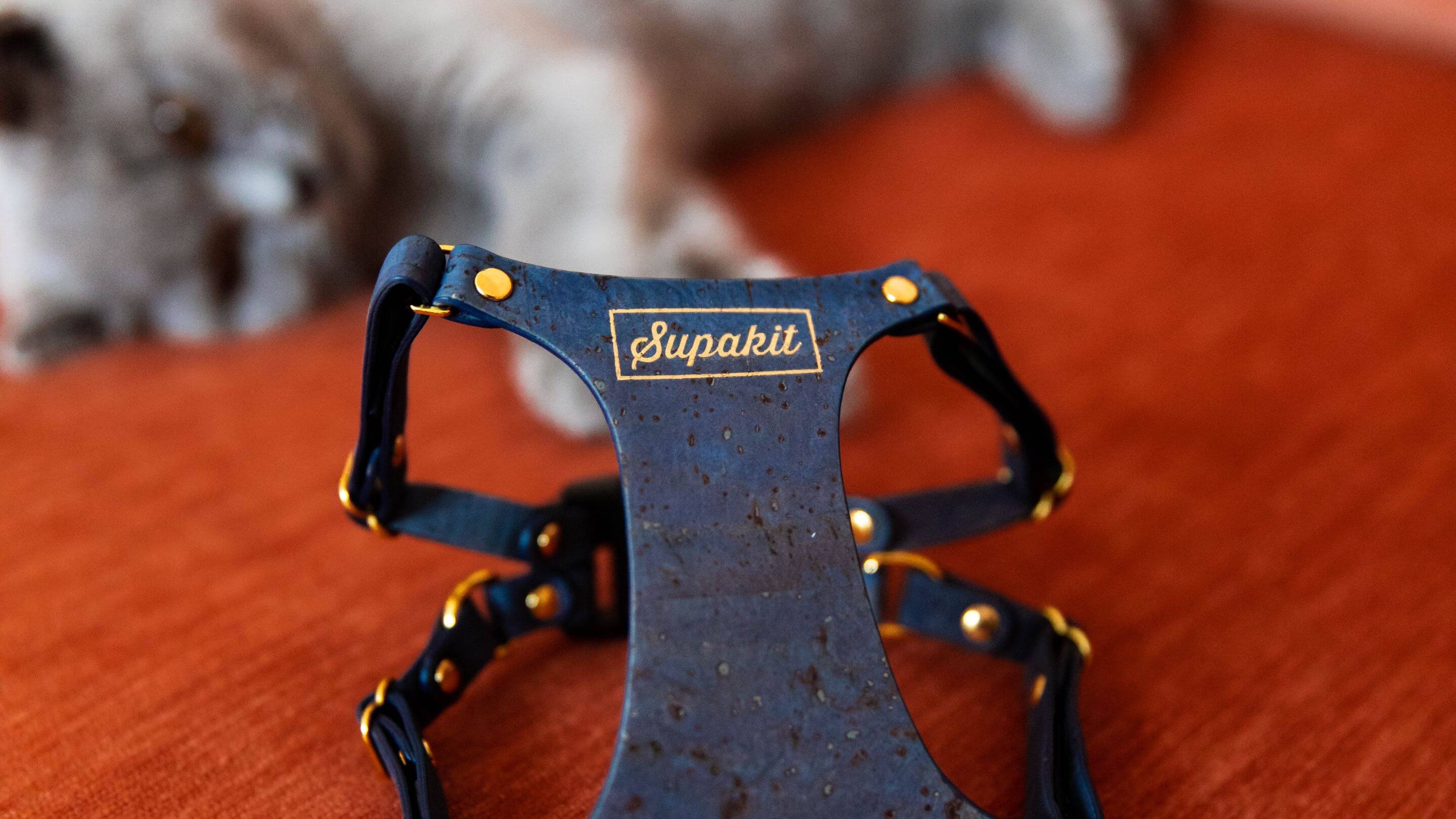 Supakit® - Designer Cat Collars & Cat Harnesses, Specially For Cats.