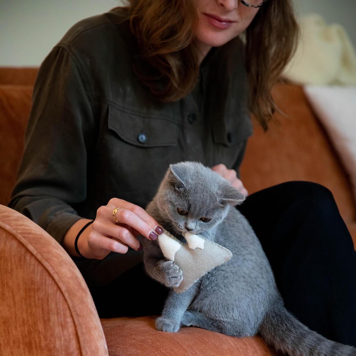 Make Your Own Cat Toys Kit – Supakit